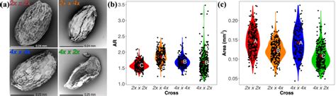 Seed Morphology Of M Luteus M Guttatus And Reciprocal Hybrid Download Scientific Diagram