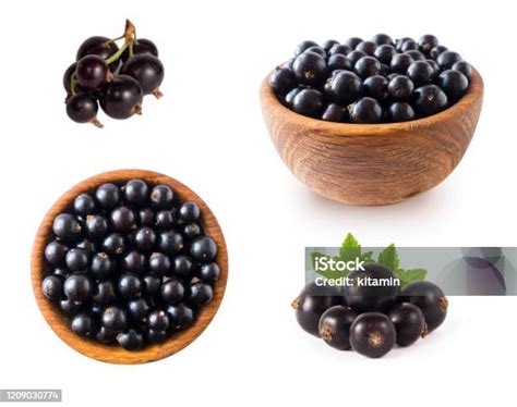 흰색에 검은 열매 흰색 배경에 고립 된 나무 그릇에 블랙 커런트 블랙커런트 분리 흰색 배경에 격리 된 블랙 커런트 맨 위 보기 흰색에 다른 각도에서 열매 0명에 대한 스톡