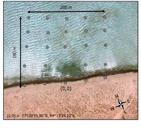 Sampling Points Transect For Surface Bottom Sediment Analysis