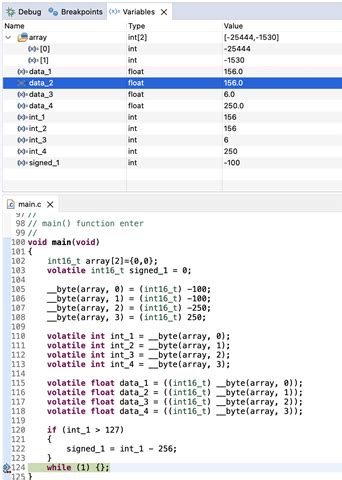 TMS320F28075 Byte Intrinsic Signed 8 Bit Numbers C2000