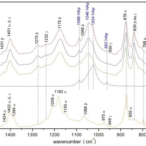Absorbance Atr Ftir Spectra For A Pvdf And B Ha Powders C Download Scientific Diagram