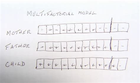 Multifactor Inheritence Flashcards Quizlet