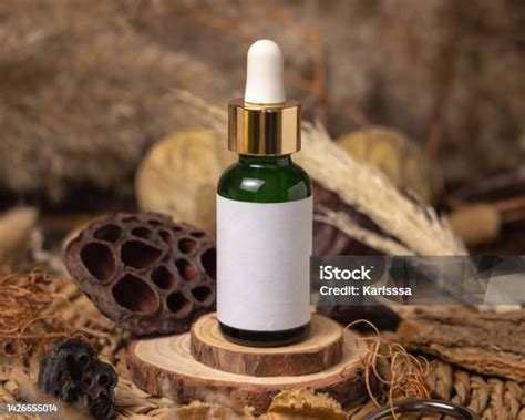 천연 보호 장식 근처의 나무에 화장품 점적기 병이 닫힙니다 레이블 모형 갈색에 대한 스톡 사진 및 기타 이미지 갈색 건강관리와 의술 건강한 생활방식 Istock