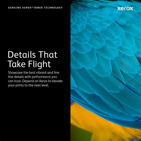 Xerox 115r00143 Fuser Kit 230v 500k Pages For Xerox Versalink C 8000 9000 0 In Distributor