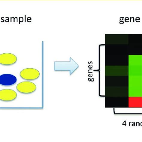 Stochastic Profiling For A Randomly Chosen Sample Of A Few Cells The Download Scientific