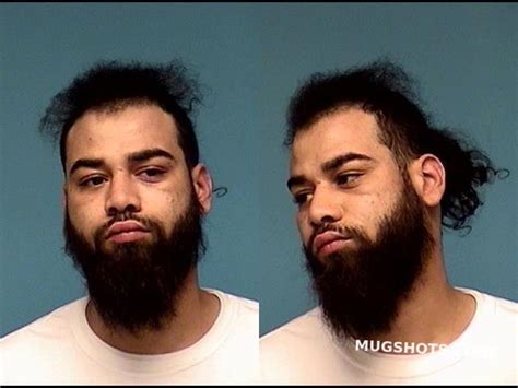 Sheppard Austin Wayne 03 14 2024 Lorain County Mugshots Zone