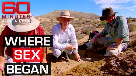 Scientists Discover Dinosaur Bones Proving Sex Originated In Australia 60 Minutes Australia