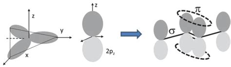 Sketch Of Sp² Hybridization And Orbitals 2pz 2pz Overlap Forming A Download Scientific Diagram