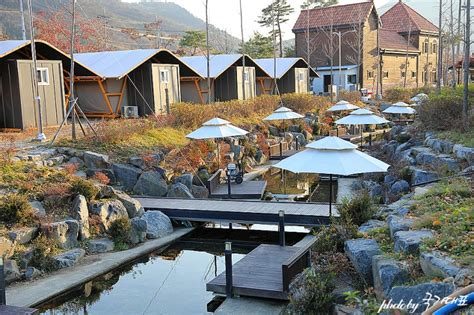 대전근교 공주 글램핑 캠핑장 계룡산 동학사 공주 감성숙소 네이버 블로그 대전근교 공주 글램핑 캠핑장 계룡산 동학사 공주 감성숙소 네이버 블로그