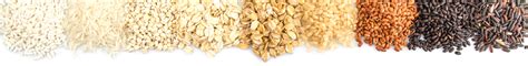 Dietary Fiber Analysis Ankom Technology