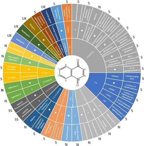 Sunburst Diagram Depicting The Placement And The Significance Of The Download Scientific