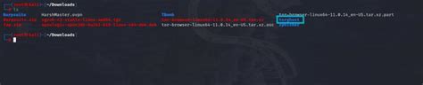 staying anonymous with proxychains in kali linux geeksforgeeks