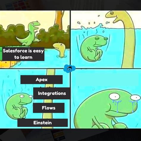 Salesforce Learning Salesforcegeek Salesforce Geek