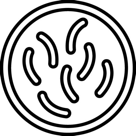 Sinorhizobium Meliloti Alfalfa Nodule Microbe 67387514 Vector Art At