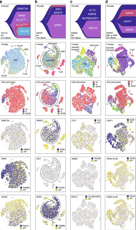 Single Cell Mutation Detection And Interpretation In Additional Cases