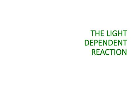 Light Reaction Of Photosynthesis Pptx