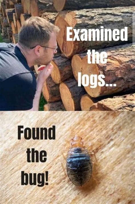 Feroz Khan On Linkedin Programmer Programming Code Coder Coding