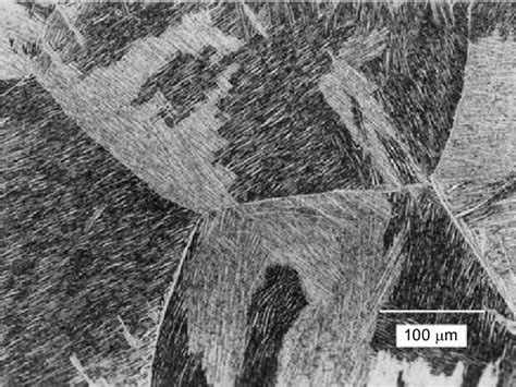 4 Optical Micrograph Showing The Microstructure Of The Ti 6al 4v Alloy