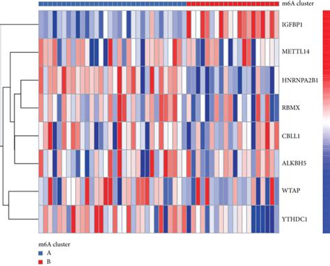 consensus clustering of the 8 distinct rna n6 methyladenosine m6a