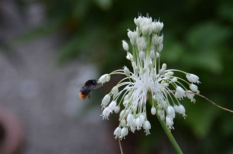 Desenvolvedora De Cassino Em 22 Horas 30112024