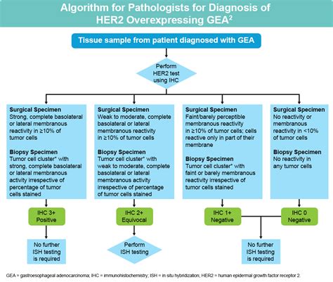 Her2 Guidelines For Diagnosis And Treatment Of Gea And Btc Her2