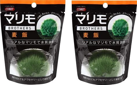コメット【2個セット】【水質調整機能付き水槽用飾り】マリモブラザーズ 麦飯 メルカリ