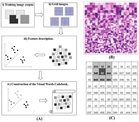 A The Process To Build A Visual Word Codebook B Example Of A