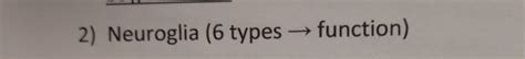 Solved Neuroglia 6 ﻿types → ﻿function