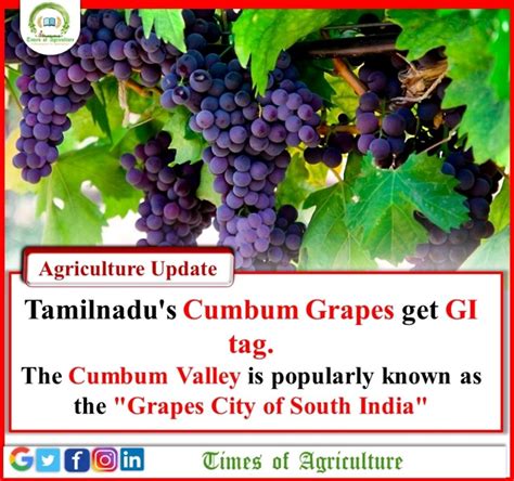 Appani Laxman Posted On Linkedin