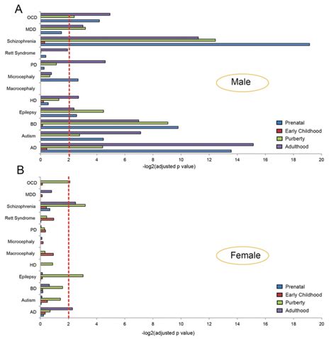 Overview Sex Differences And Brain Development Developmental Biology