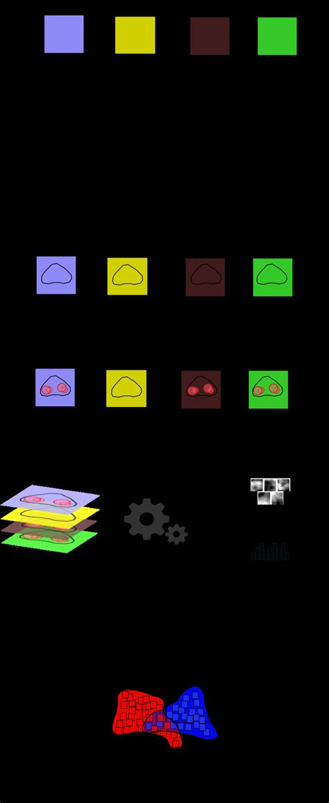 1 A General Workflow Of A Typical CAD PC Which Consists Six Phases Download Scientific Diagram