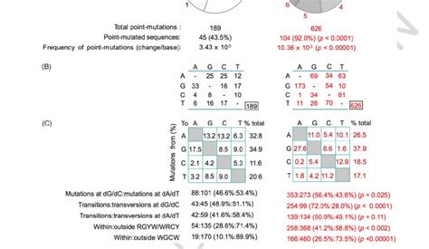 Mutation Frequency Is Greatly Increased And Mutation Spectrum Is