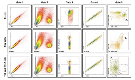 Schematic Overview Of Flow Cytometric Gating Strategy For The Download Scientific Diagram