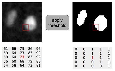 Binarization Image Analysis Training Resources