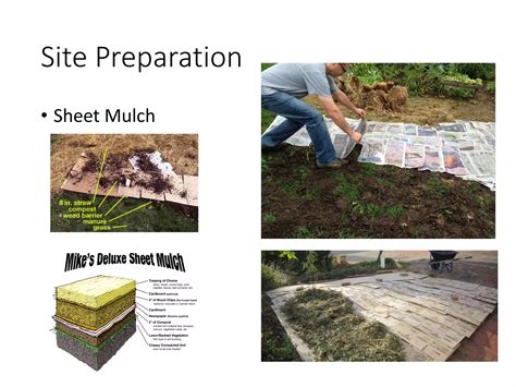 Weed Control Methods Pdf