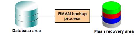 Configuring Recovery Manager Oracle 10g School Of Information Systems