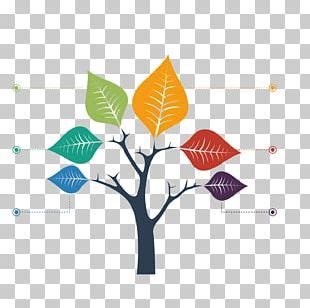 Tree Structure Graph PNG Clipart Area Autumn Tree Blue Brand Chart Free PNG Download