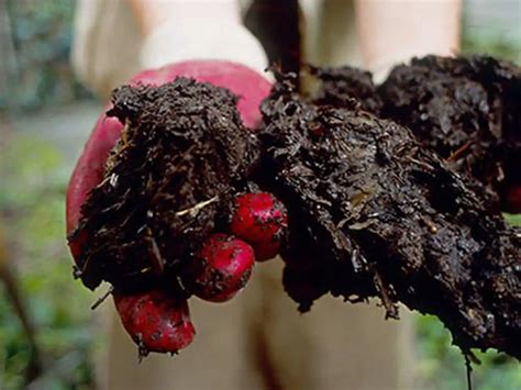 How To Make A Composter Hotter