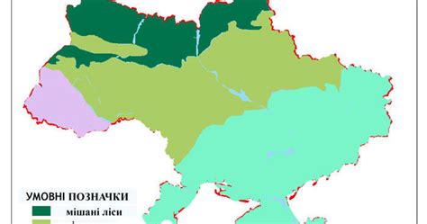 8 клас Практична робота № 9 Складання порівняльної характеристики природних зон України Тест