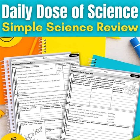 Expanded Form Vs Expanded Notation What S The Difference