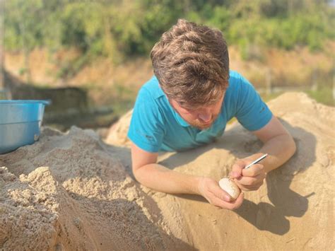 រកឃើញពងសត្វអណ្តើកហ្លួងដ៏កម្រ ៤សម្បុក នៅលើឆ្នេរខ្សាច់សិប្បនិម្មិត ខេត្តកោះកុង Cnc News