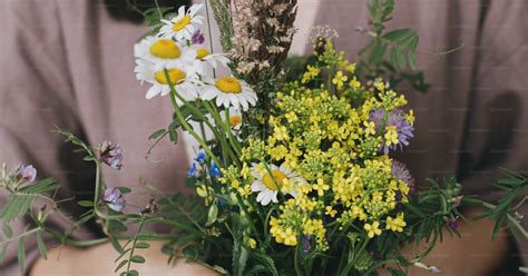 리넨 드레스를 입은 세련된 여성이 파스텔 패브릭 배경에 야생화 꽃다발을 들고 있다 단순한 느린 생활 흰색과 노란색 초원 꽃을 손에 들고 보헤미안 소박한 드레스를 입은