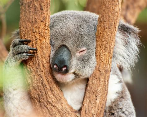 Insulbloc 4 Seasons Insulation