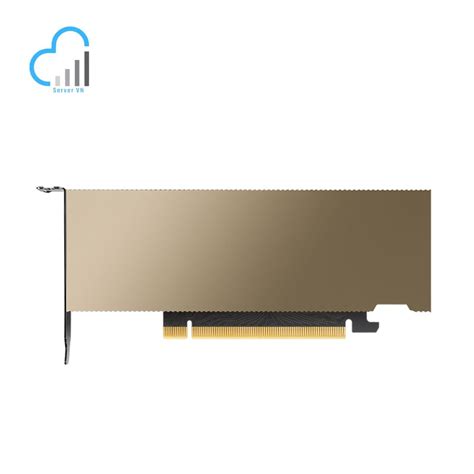 Card Màn Hình Nvidia A2 Tensor Core Gpu 16gb Gddr6 MÁy ChỦ Vina