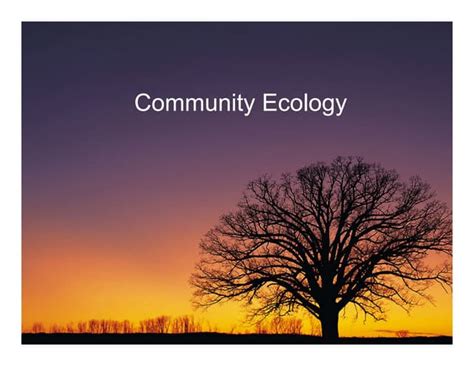 Introduction And Characteristics Of Biological Community Ppt