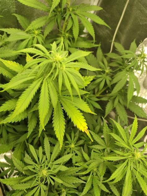 Tmp Cam 9145897959846047264 Hosted At Imgbb — Imgbb