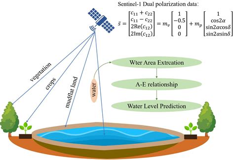 Water Area Extraction And Water Level Prediction Of Dongting Lake Based On Sentinel 1 Dual