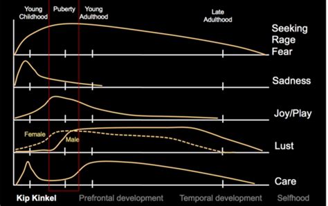 Lect 16 Socio Emotional Development Flashcards Quizlet