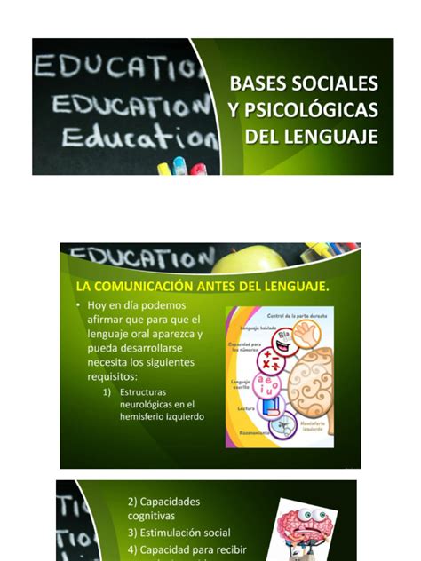 Bases Psicologicas Del Lenguaje Pdf