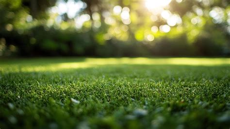 Lush Green Lawn With Sunlight Filtering Through The Trees Creating A